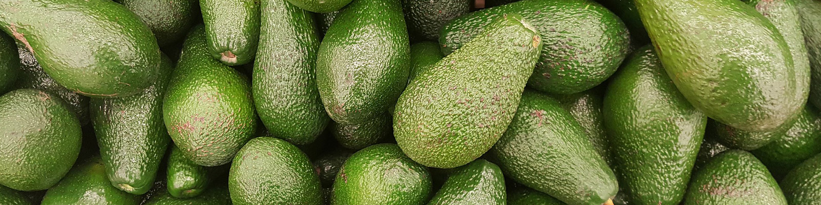 MIRA | Lima Orgánica